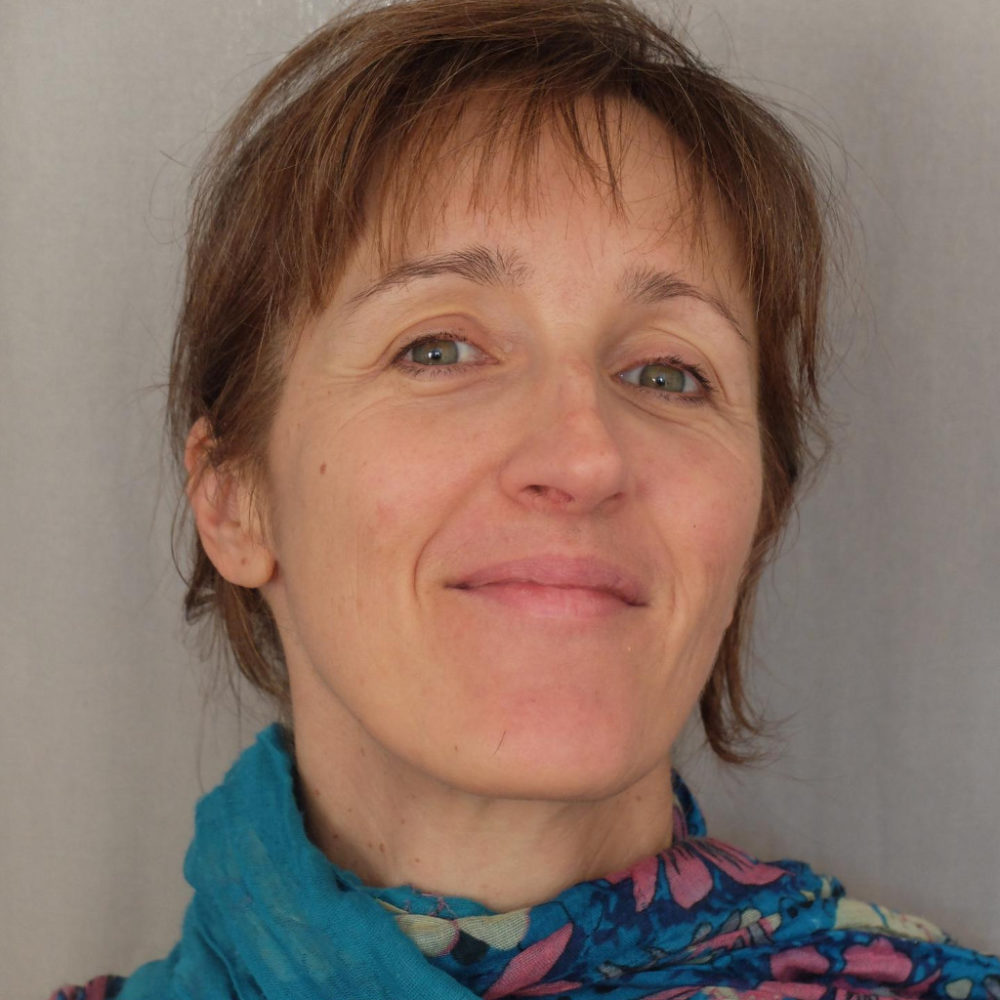 Anne Sentenac - Complex Nanophotonics Science Camp